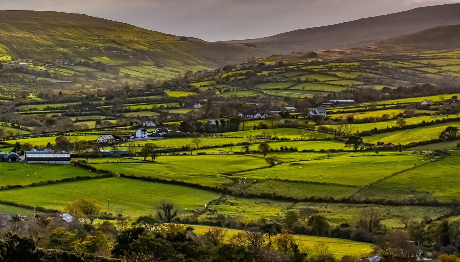 1Spatial supports major Northern Ireland government digital ...