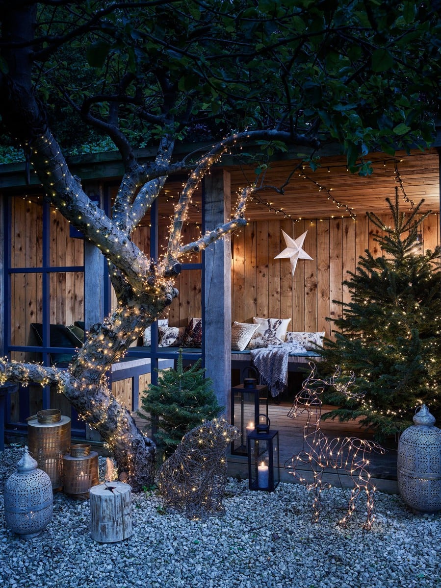 Dobbies spreads festive joy this Christmas in Kings Lynn with ‘Not Your ...