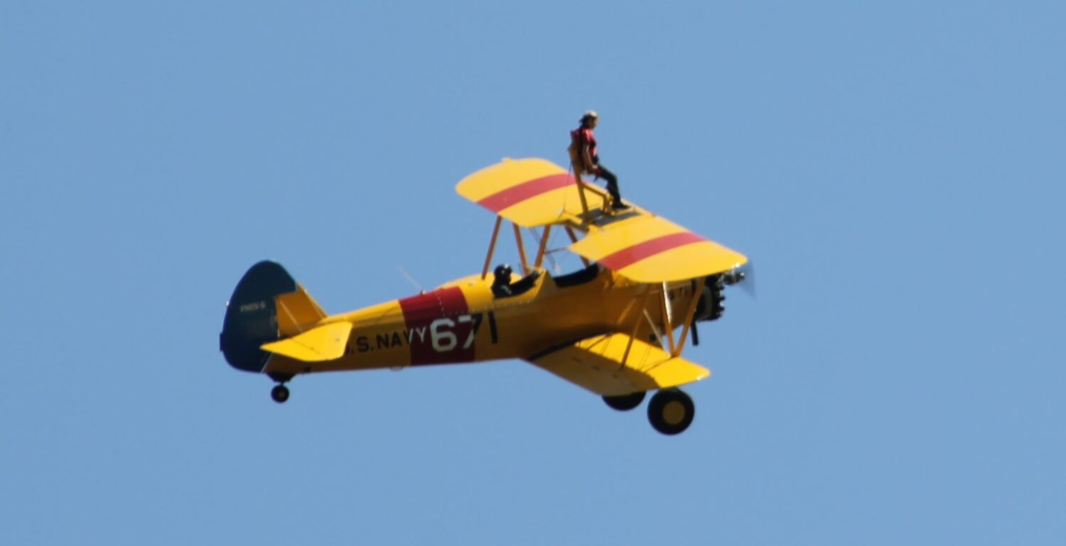 Spirited Susan Cox soared to new heights in her quest to raise funds ...